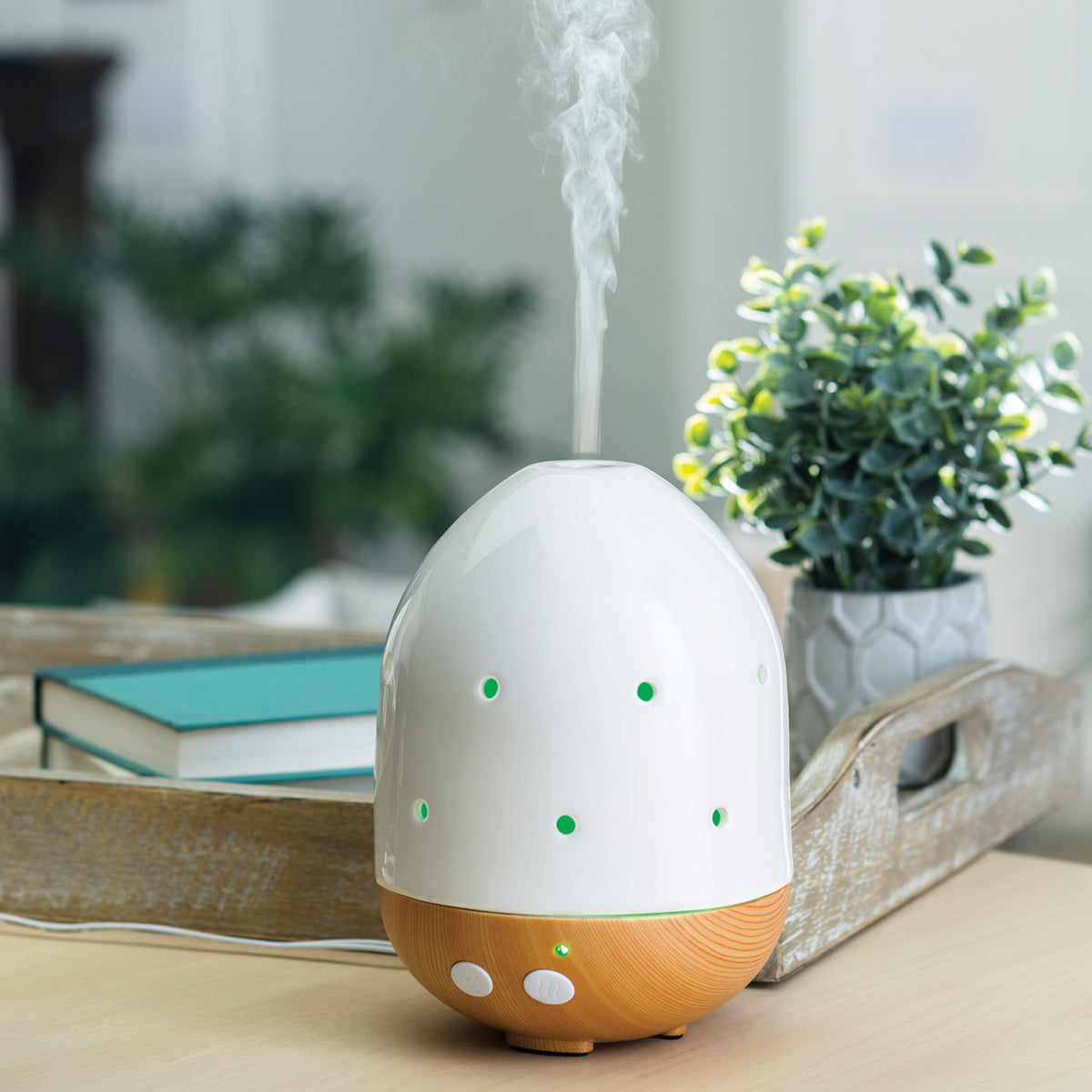 Ultrasonic Diffusers – Zen Essentials